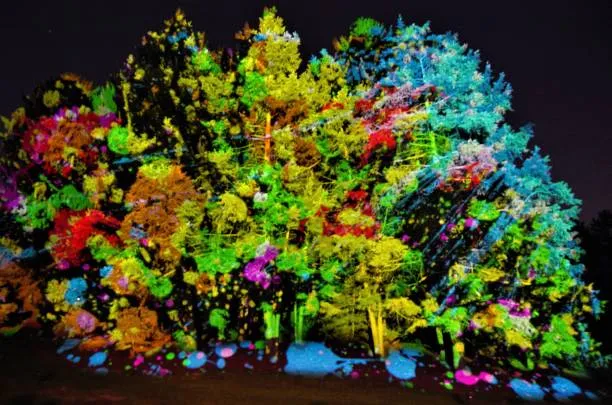 Jackson Pollock Morning – Letters to Rachel